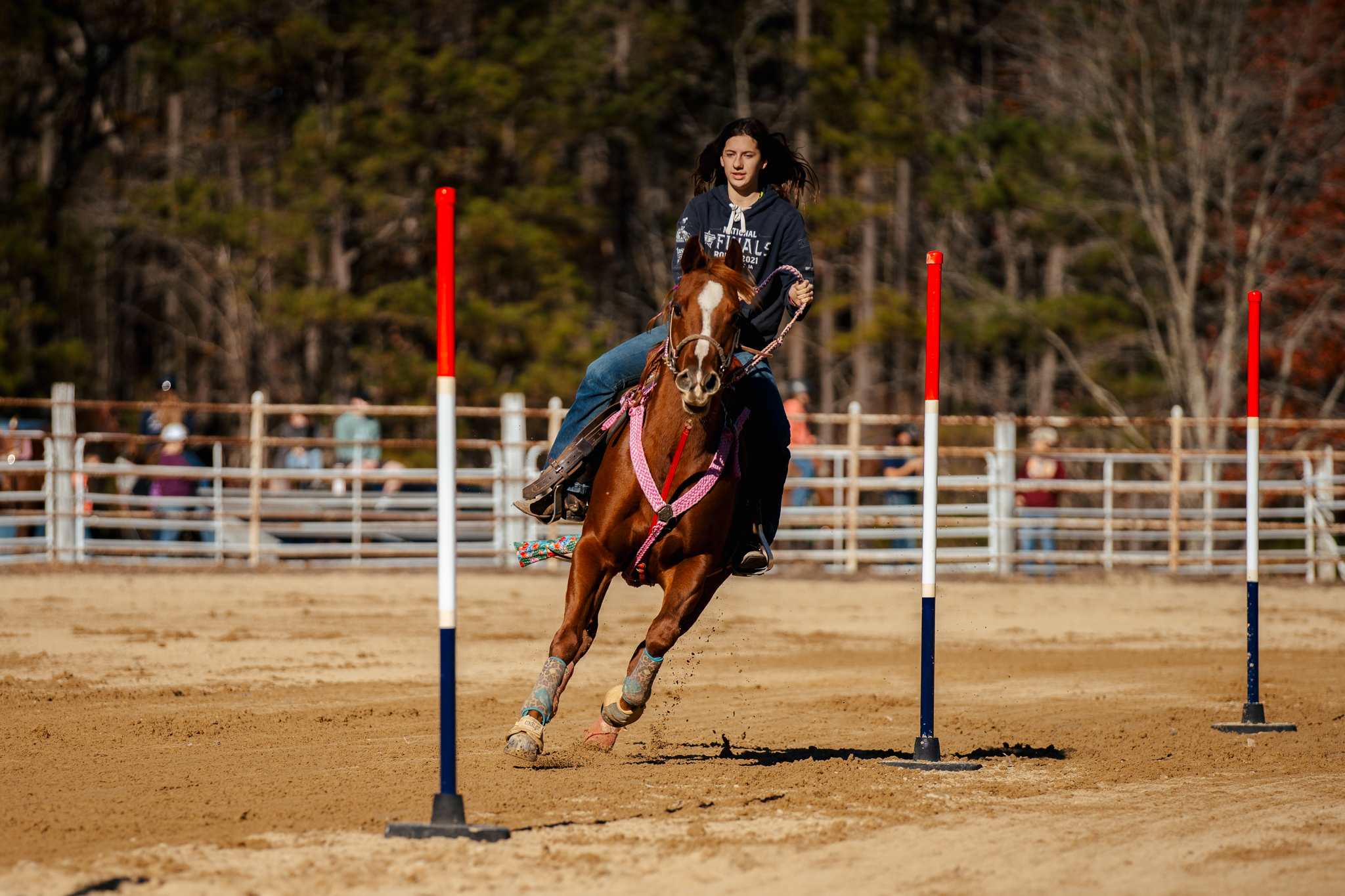 WESTERN RIDERS OF VIRGINIA – Join Western Riders of Virginia today!
